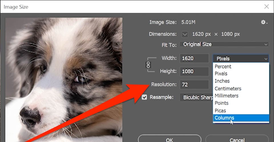 How To Resize Images In Photoshop