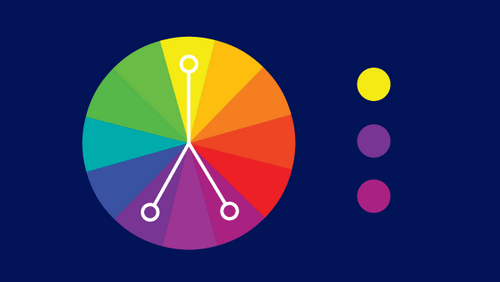 Beginner's Guide to Design & Motion: A Free Introduction to Animation ...