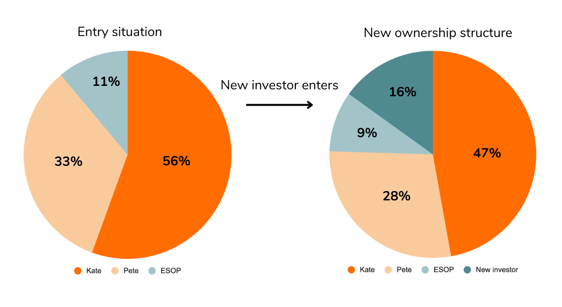 ESOP allocation: Calculate how much equity to give to motivate your ...