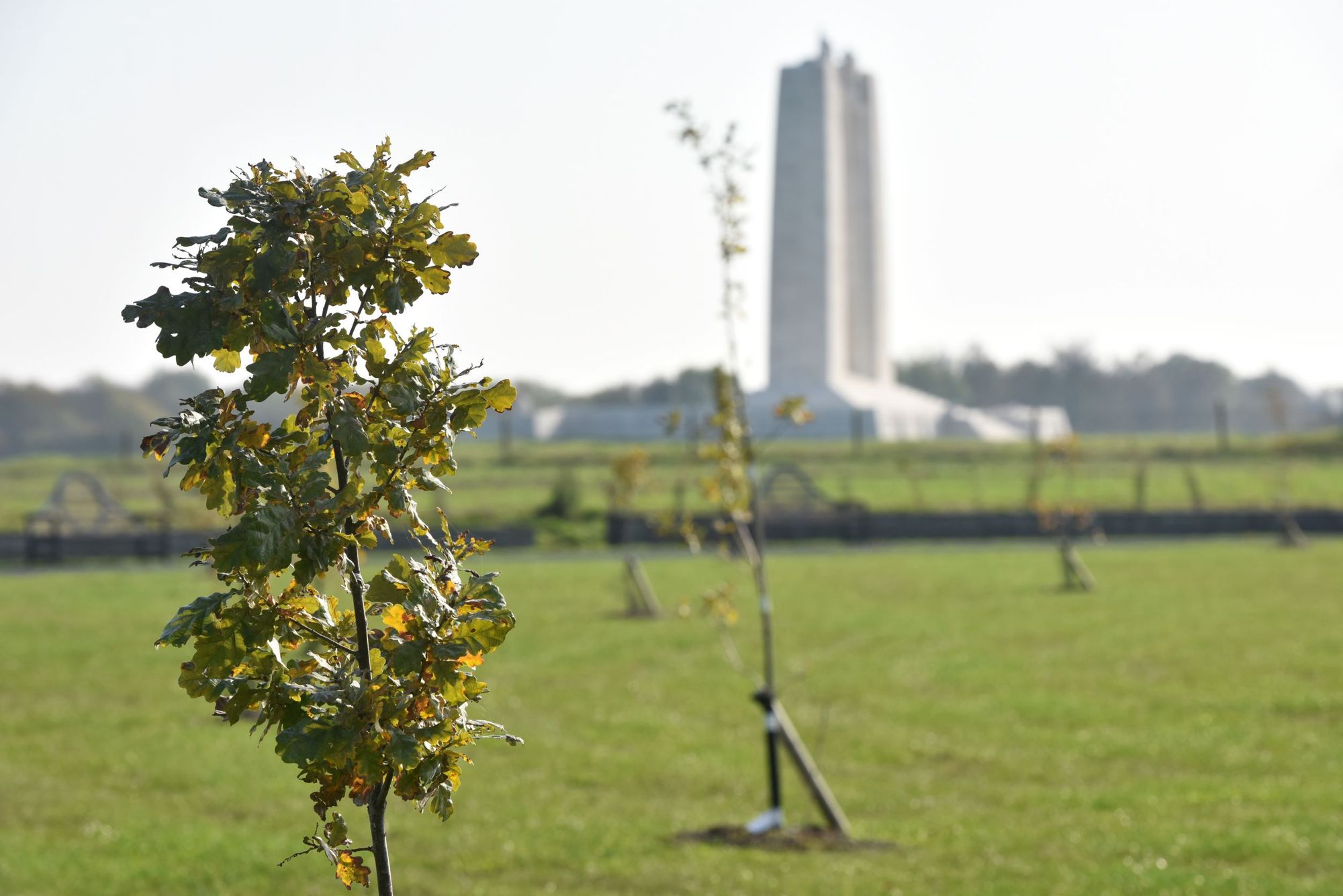The Vimy Foundation Centennial Park | Projects | The Vimy Foundation