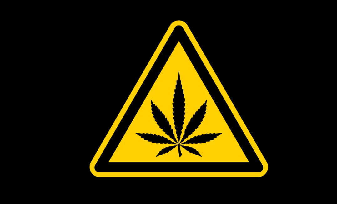 Setting the Standard for Cannabis Labeling