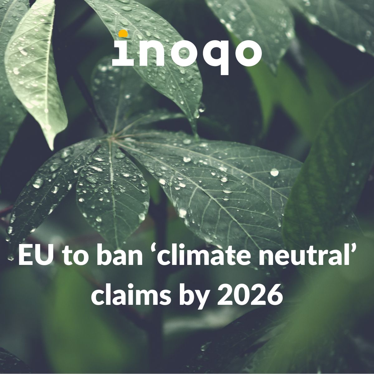 EU to ban "climate neutral" claims by 2026
