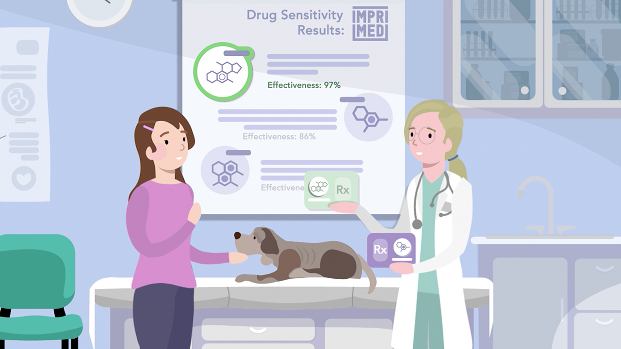 Personalized Prediction Profile for Canine Lymphoma & Leukemia