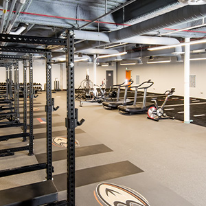 Gym ECORE MONSTER 22.5mm RUBBER ROLL - Gym Flooring