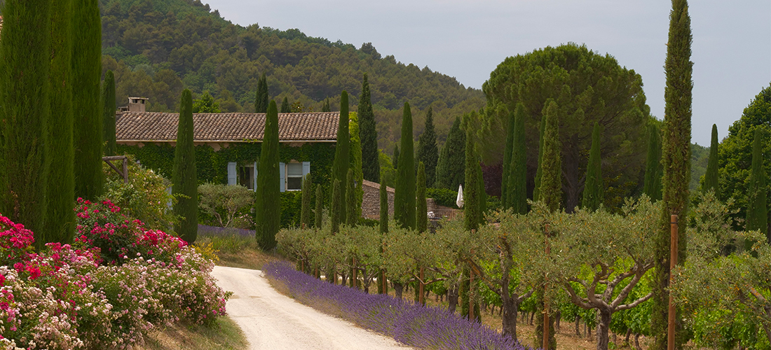 Week-end romantique - La Bastide de Marie - Provence