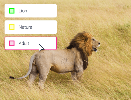 Isahit - Our complete solutions for image annotation