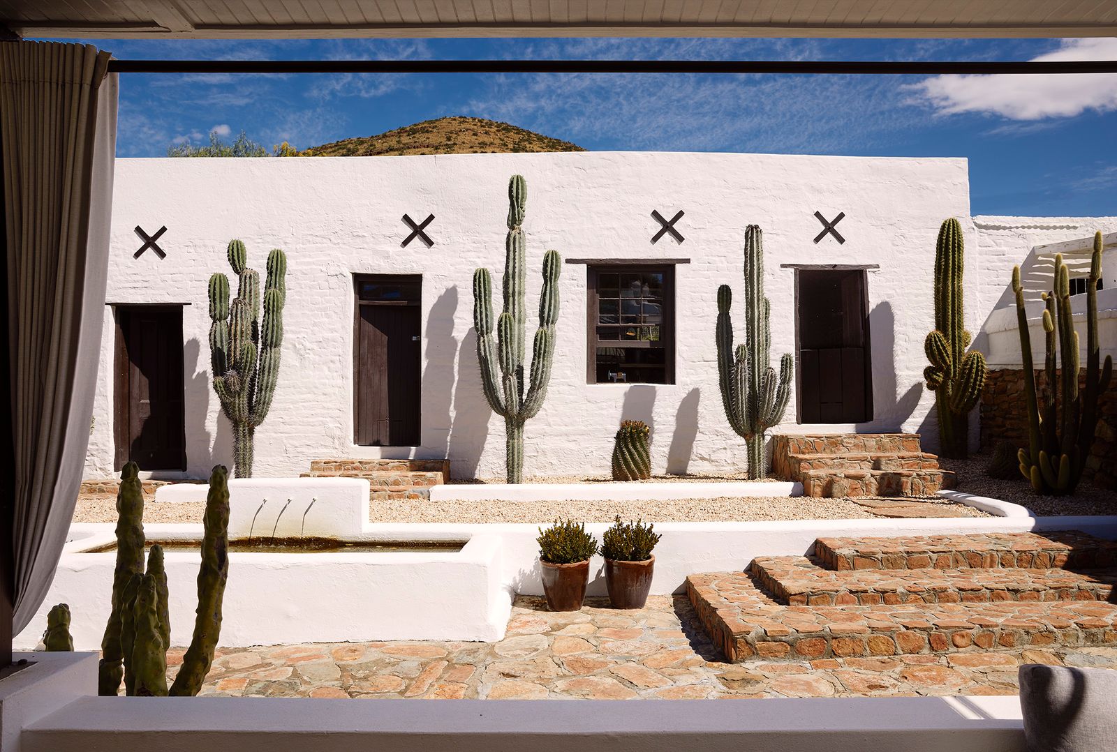 Art House Collection