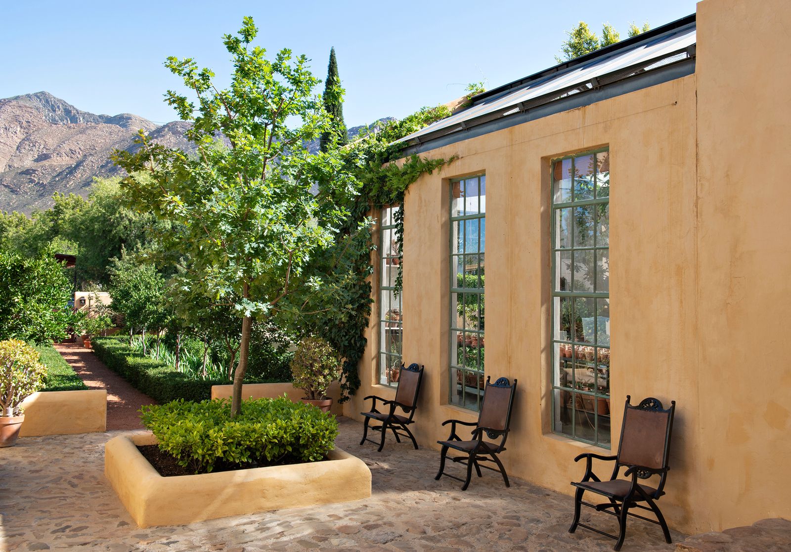 Art House Collection