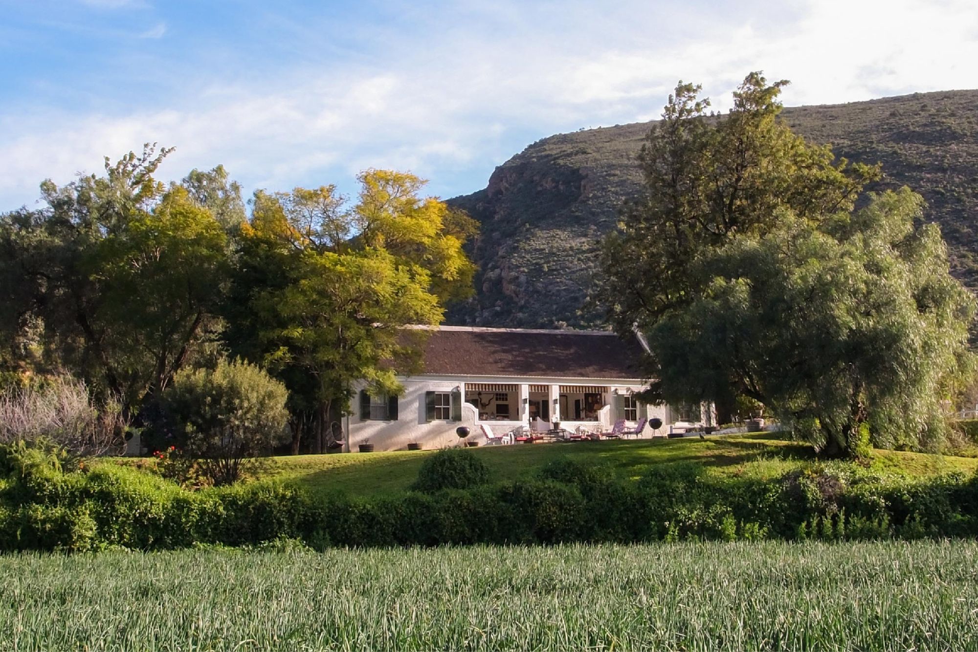 Art House Collection