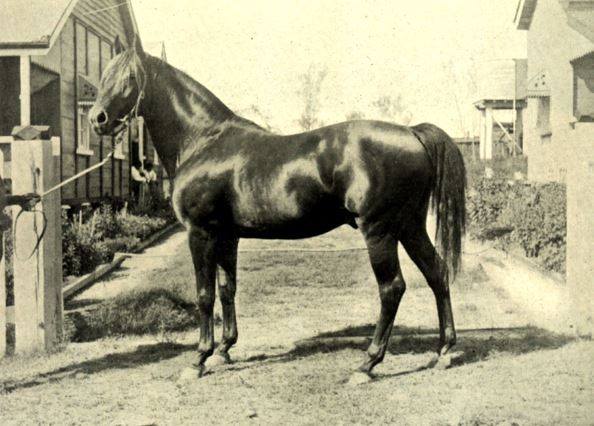 Property profile: Rewan | Rural Funds Management