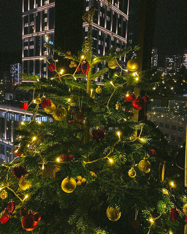 Royal Fir - Scandinavian Christmas Trees / Hong Kong