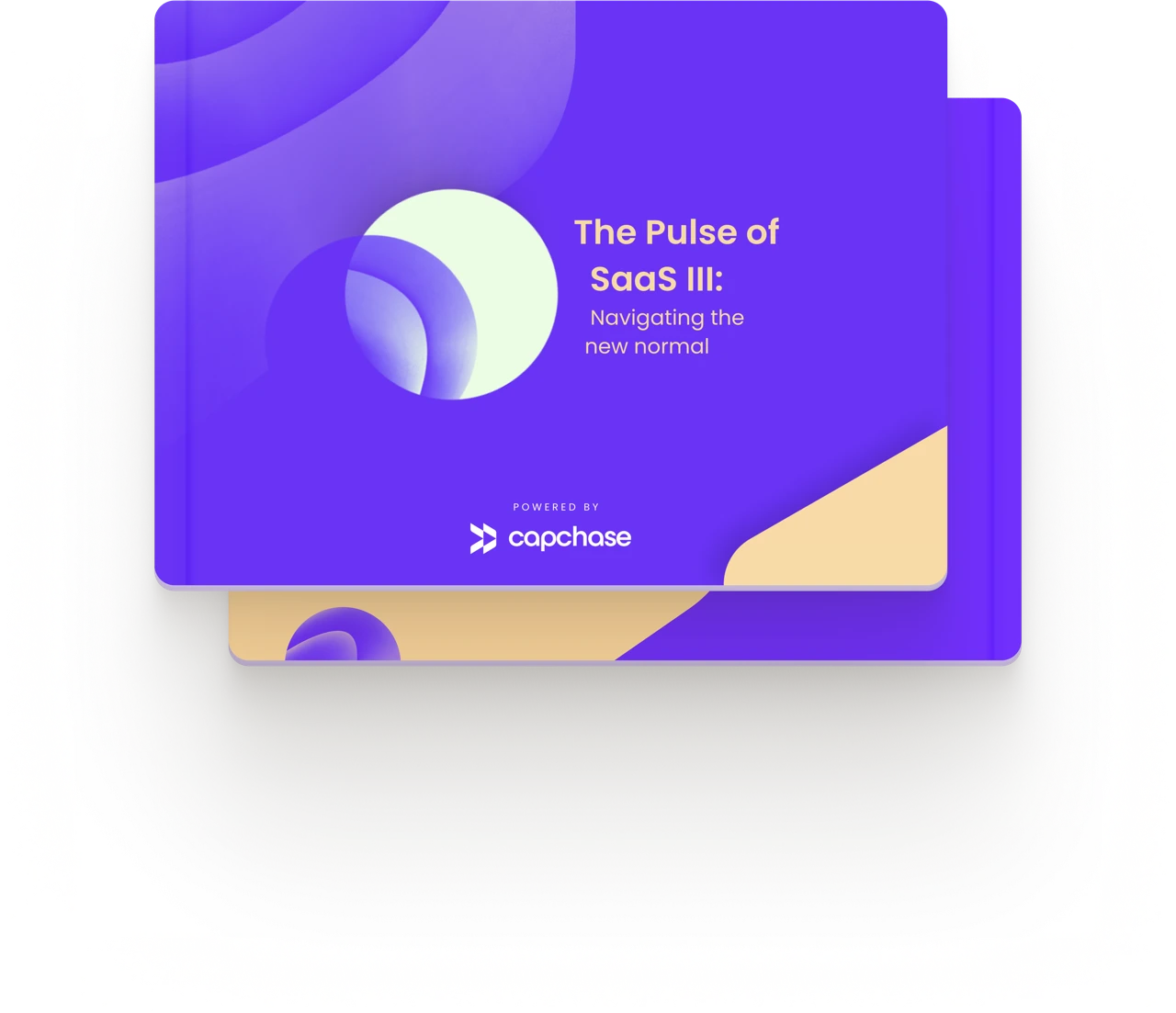 Ebook: Pulse of SaaS III