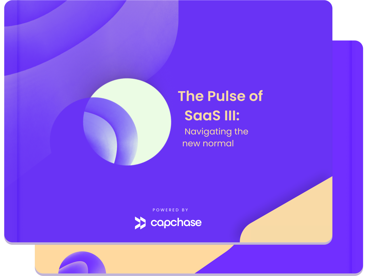 Ebook: Pulse of SaaS III