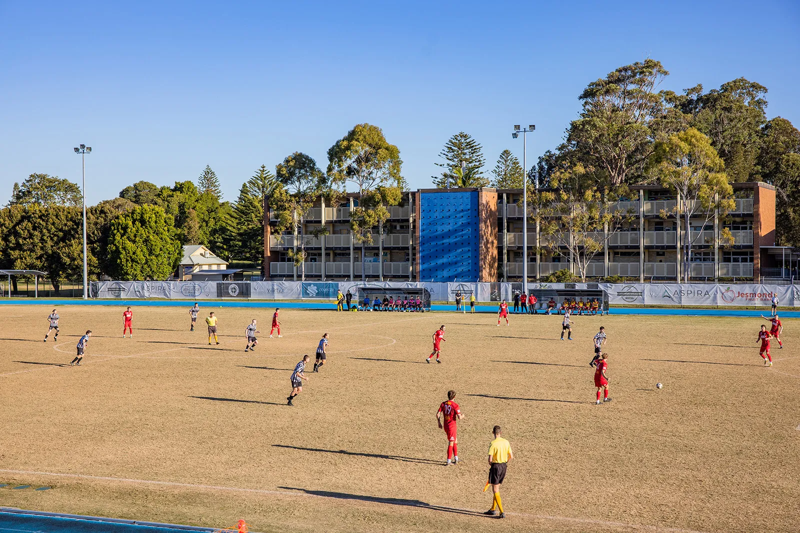 Cooks Hill United FC - NPL, JDL & Community Football