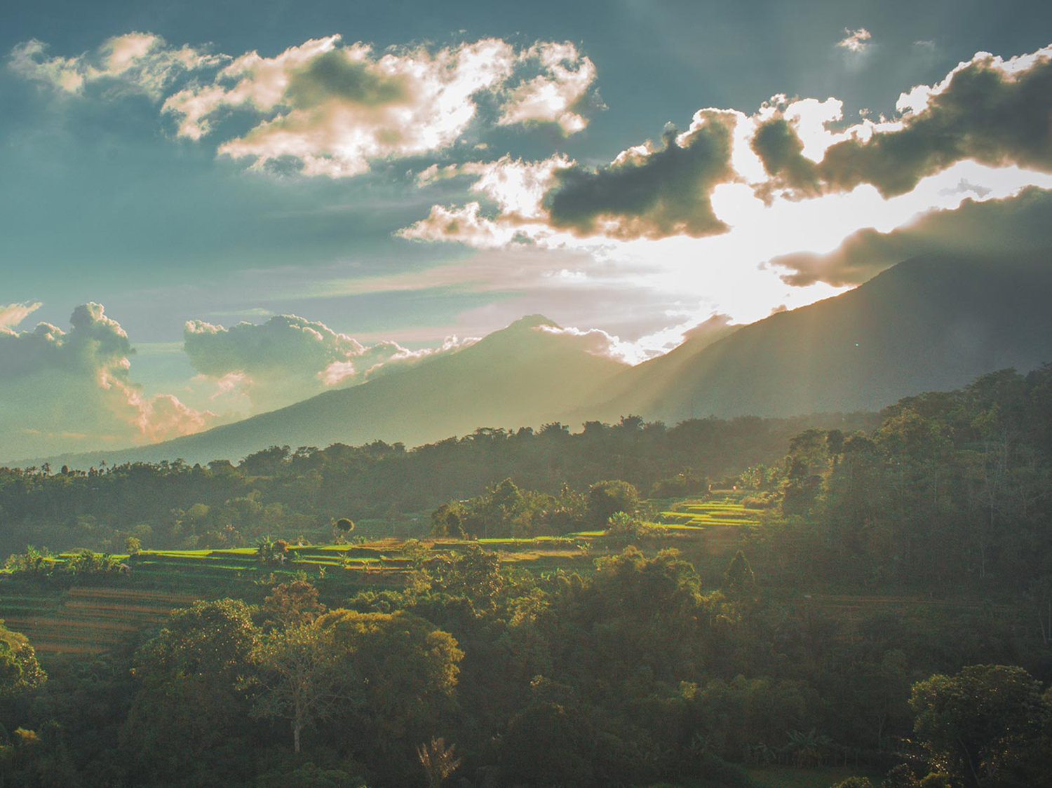Nature-inspired hotel in Bali I Homm Saranam Baturiti