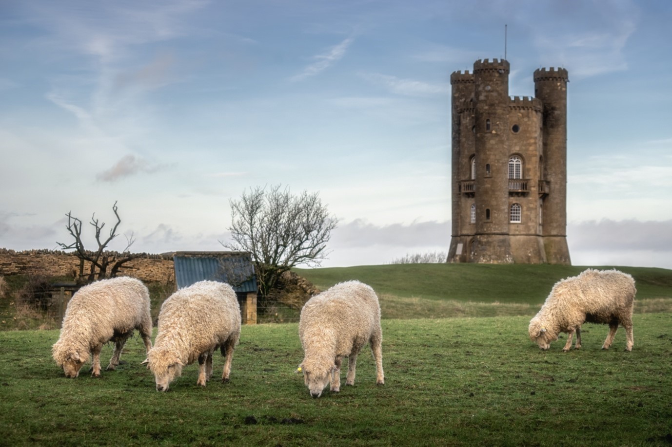 The History of Wool in the Cotswolds - CotswoldXL Magazine