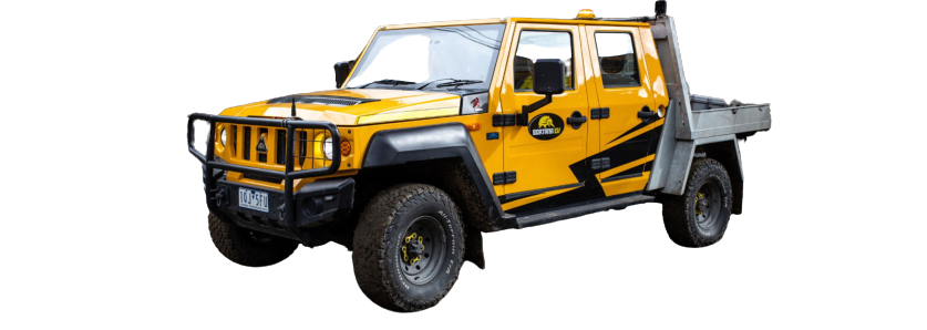 Bortana EV Beta Feet in Development | Safescape News