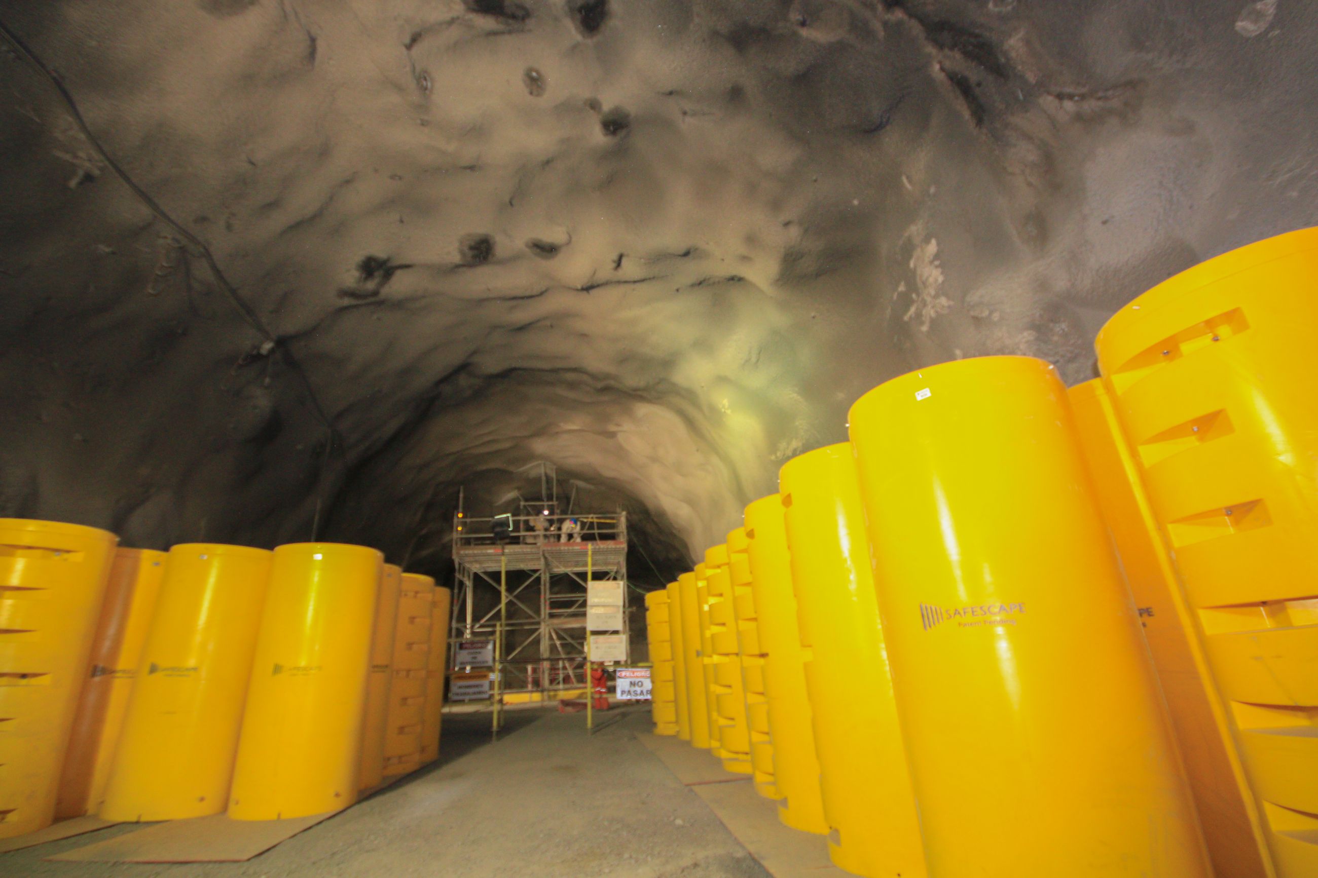 60,000m - Safescape Laddertube Milestone