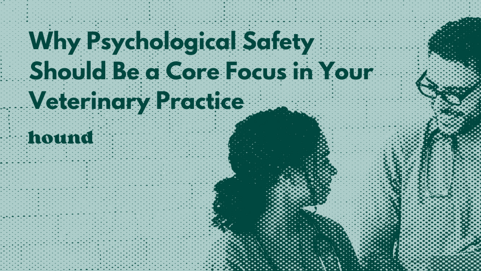 Foster Psychological Safety in Your Veterinary Practice | hound