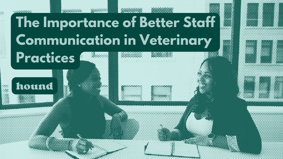 Creating Better Communication in Veterinary Medicine | hound