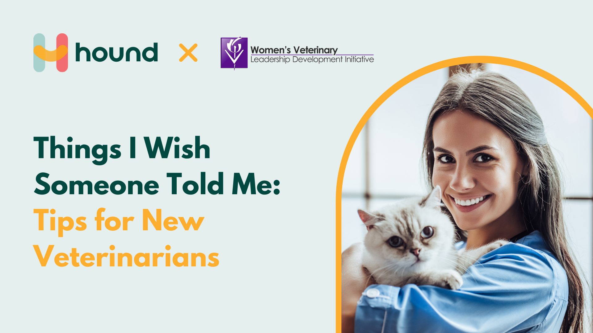 Things I Wish Someone Told Me: Tips for New Veterinarians | hound