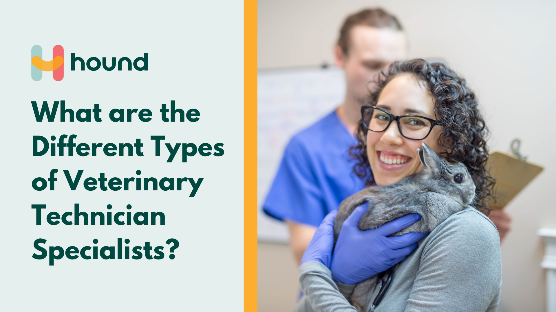 What are the Different Types of Veterinary Technician Specialists? | hound