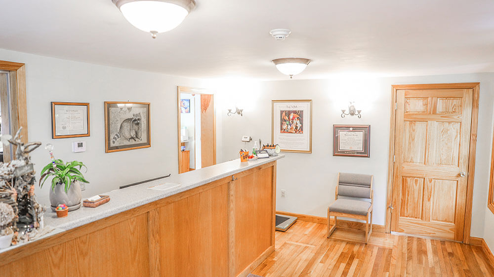 Tui NA Treatment I Holistic Animal Healing Clinic