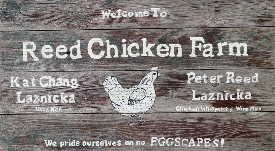 In The News - Reed Farm