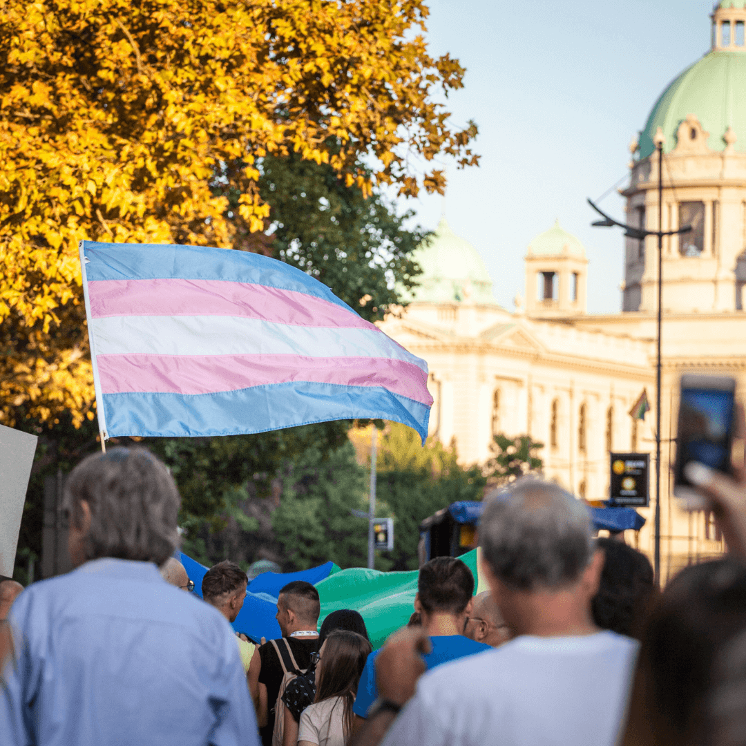 What We Do | Equality Federation