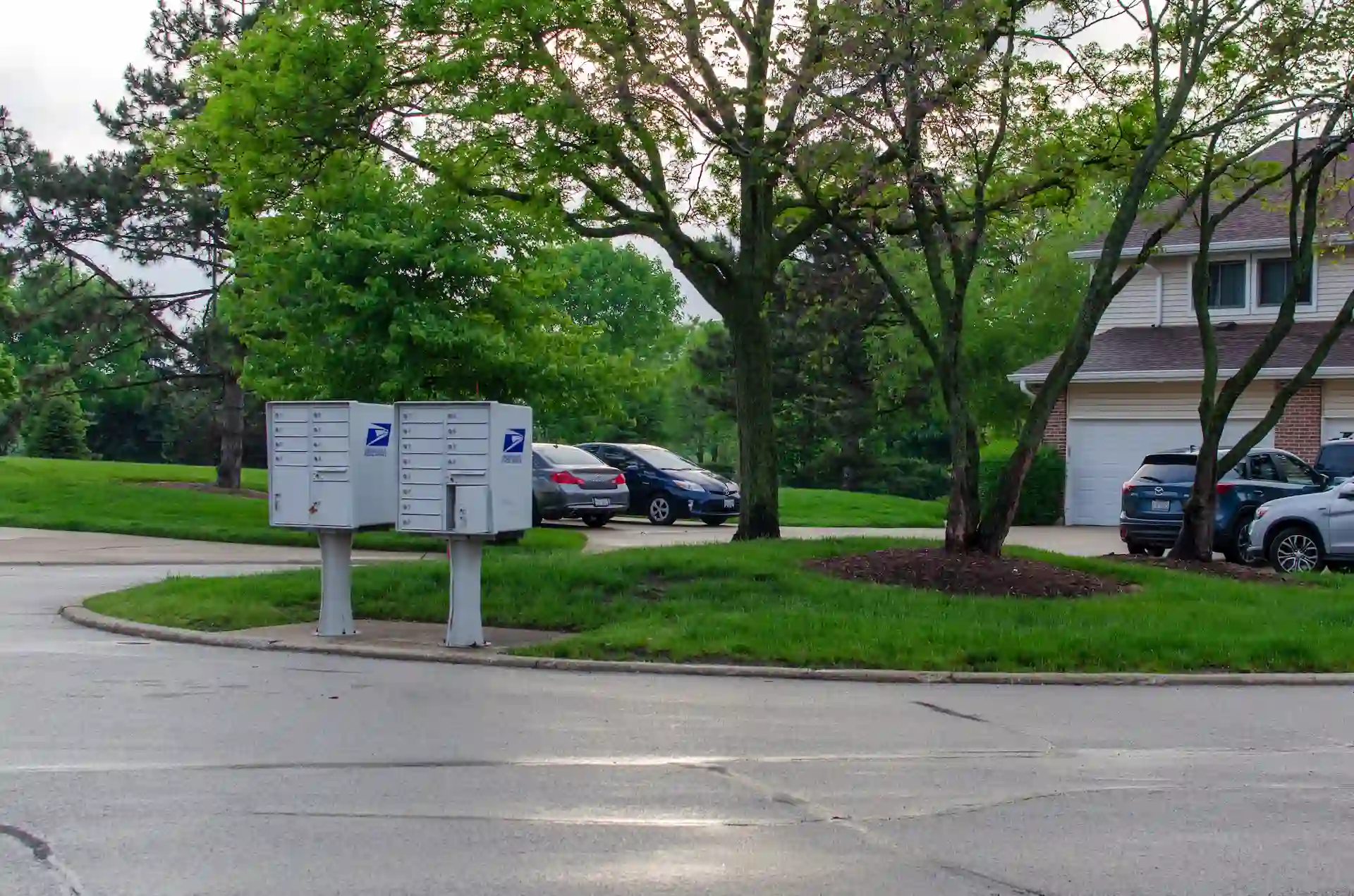 Best Chicago Sports Team Bus Rentals | Infinity Transportation ...