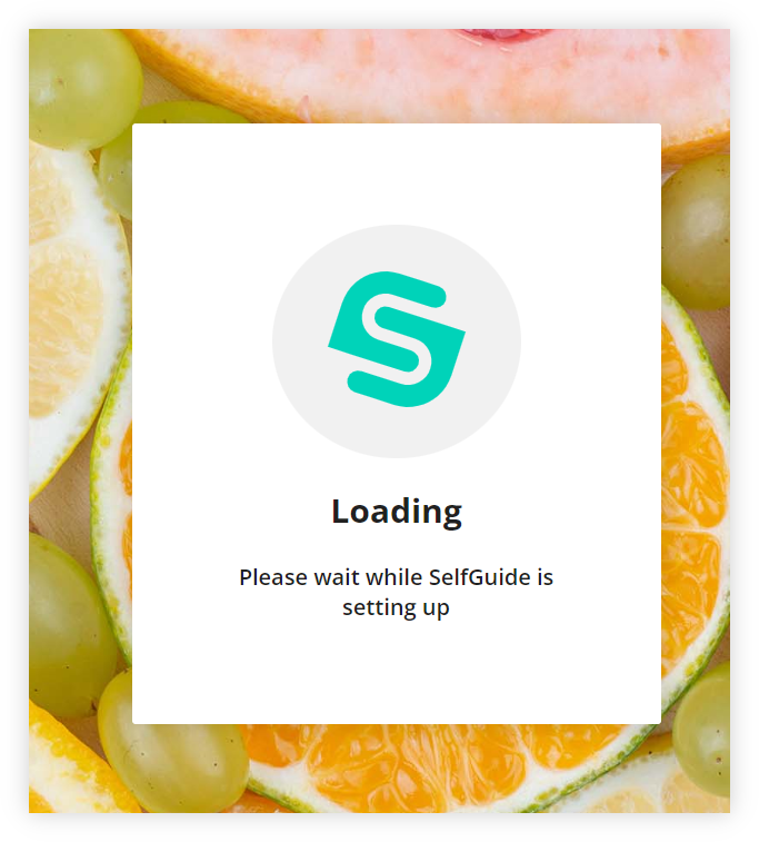 07/09 - Loader and maintenance page | Releases | SelfGuide kb