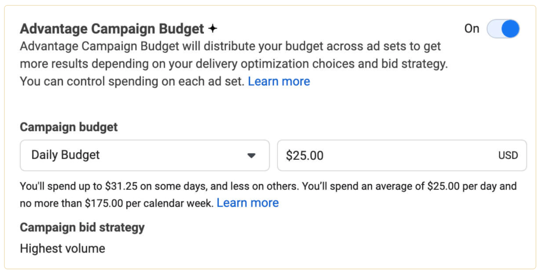The Advantages and Disadvantages of Meta’s Advantage+ Tools