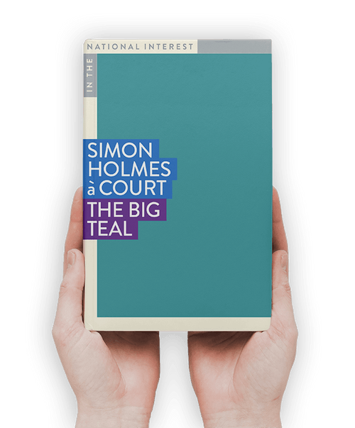 The Big Teal | Simon's new book!