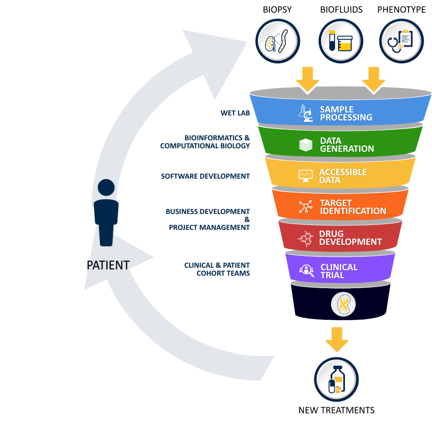 Michigan Kidney Translational Medicine Core (MiKTMC)