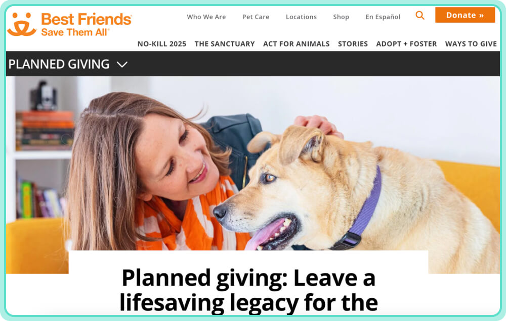 The 9 Best Ways to Raise Money For Charity (2024) + Examples
