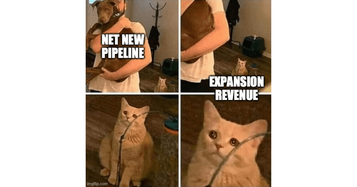 Maximizing Revenue with Customer-Led Growth