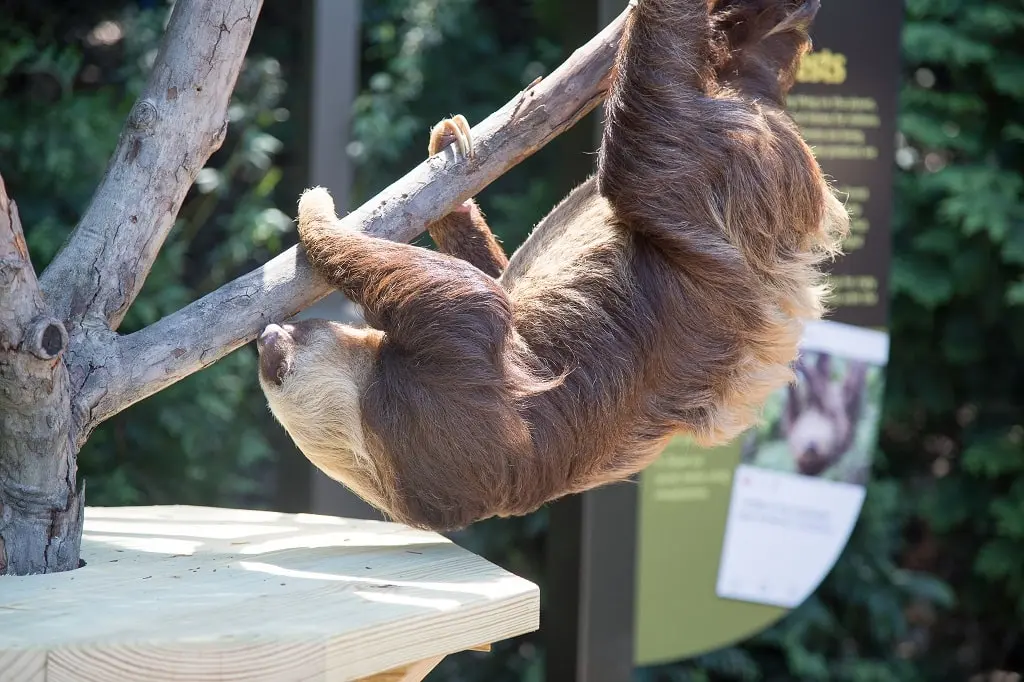 Top 13 Things to Do & Places to Visit in Indianapolis | Infinity ...