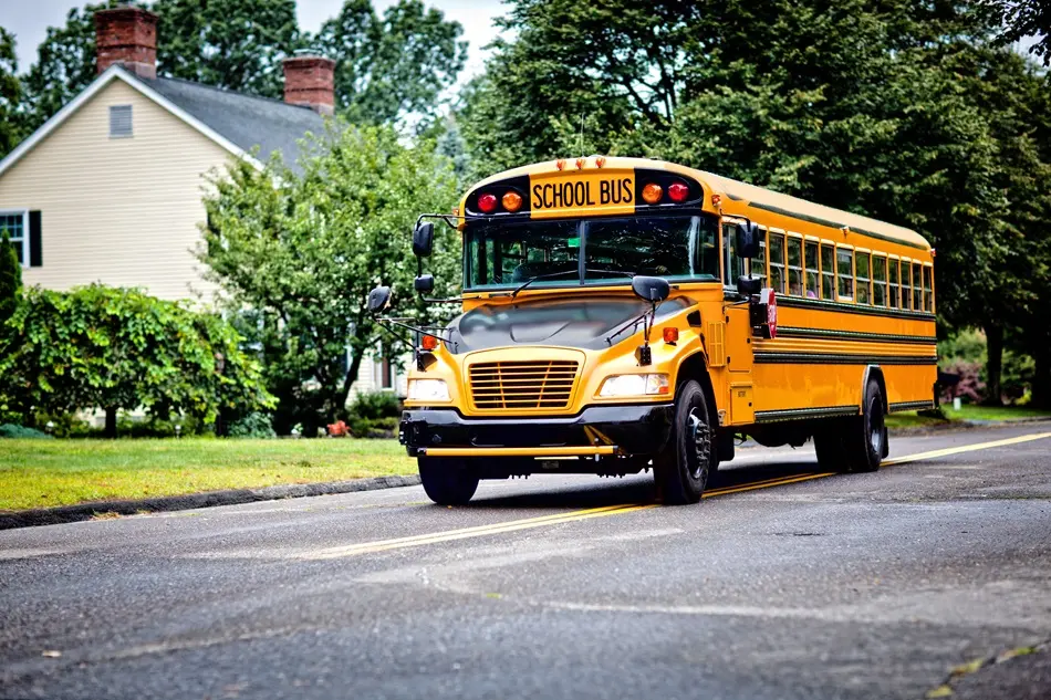 Types of School Buses | Infinity Transportation | Infinity Transportation