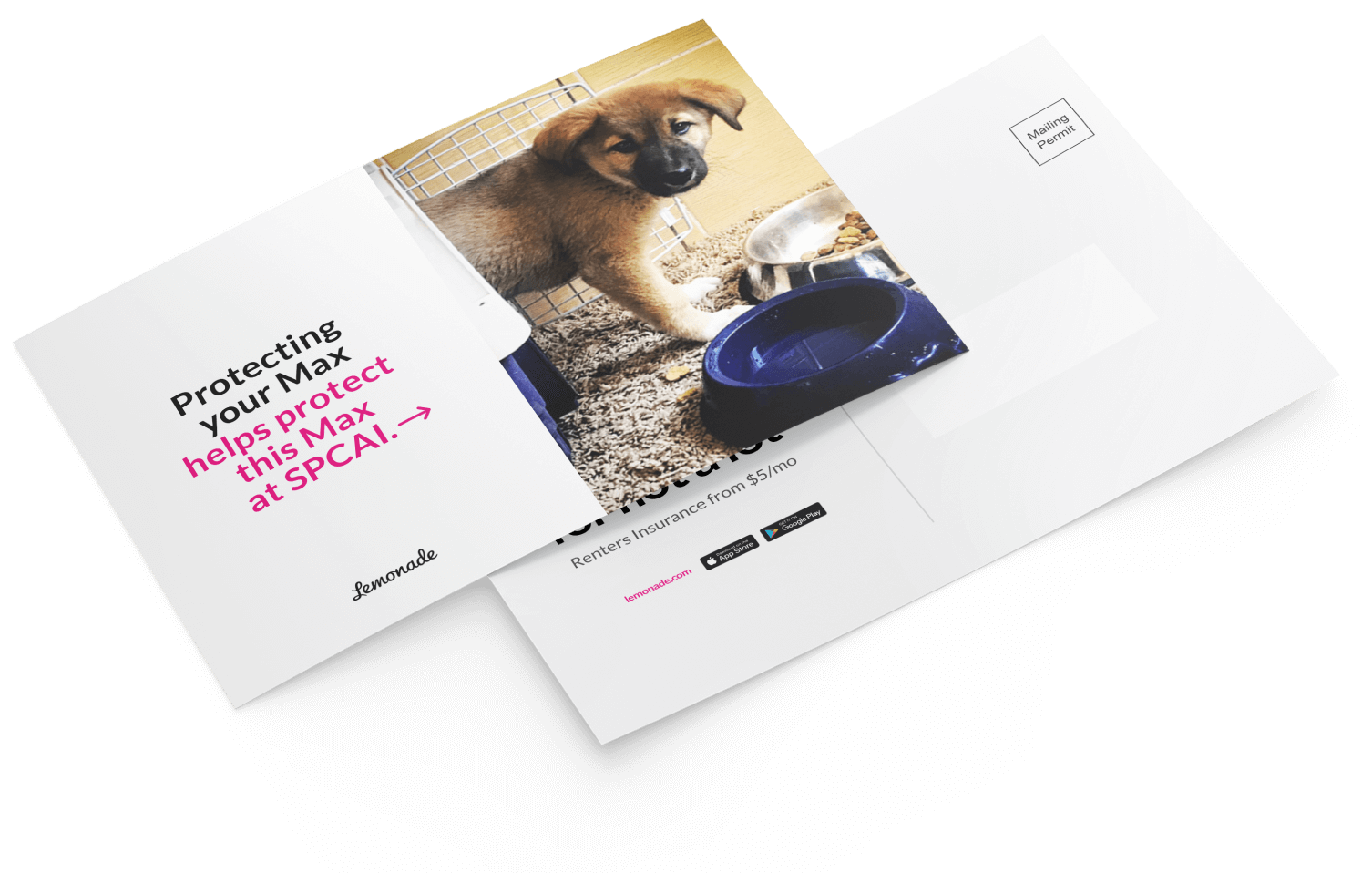 Direct Mail Campaign Solutions | Poplar