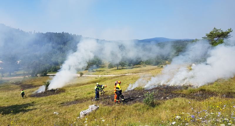 AI fire detection: Forests safeguarded by computer vision | SuperAnnotate