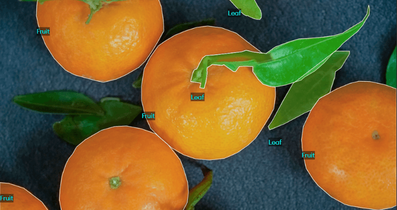 What is image annotation? Introduction to image annotation for ML | SuperAnnotate