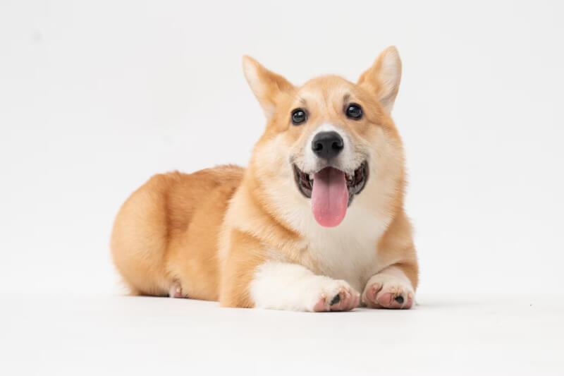 What is supervised learning? | Machine learning tasks [Updated 2024 ...