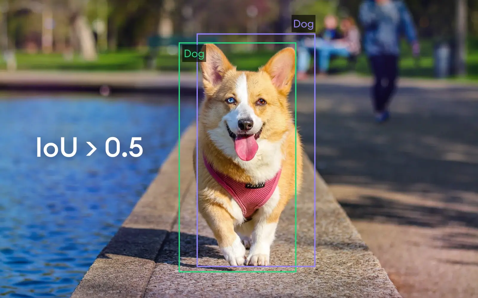 Mean average precision (mAP) in object detection | SuperAnnotate