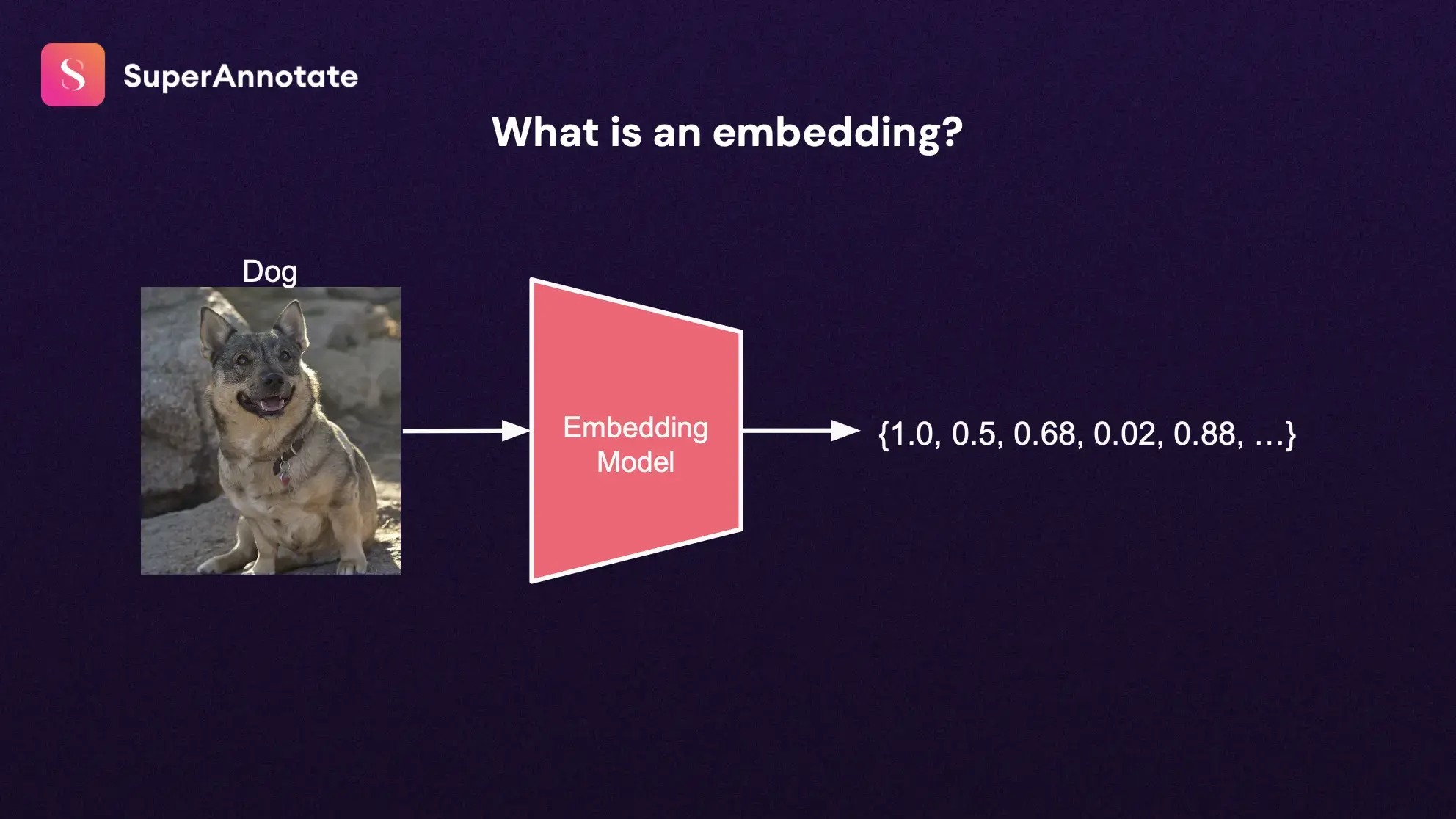 Embeddings in ML: Zero-shot, one-shot annotations, and vector similarity search | SuperAnnotate