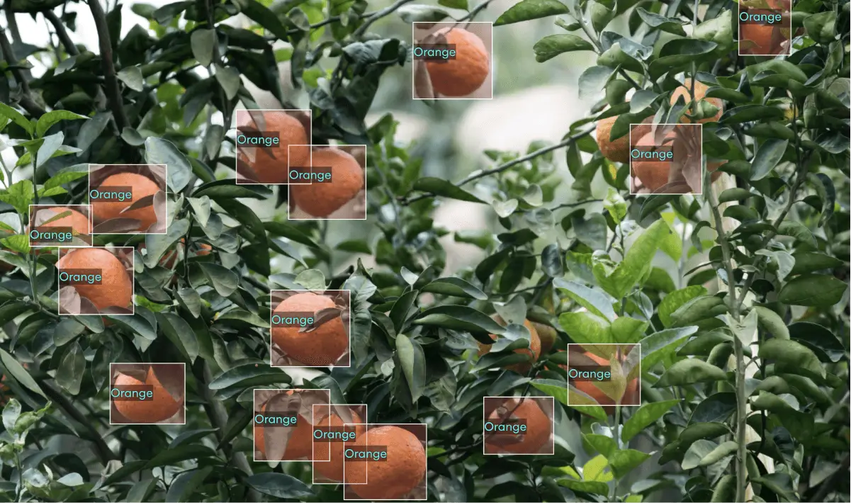 Yolo Object Detection Evolution And Algorithms Superannotate