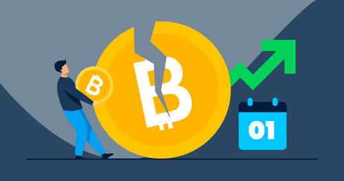 Bitcoin Halving Dates: Investor’s Guide 2024 | CoinLedger