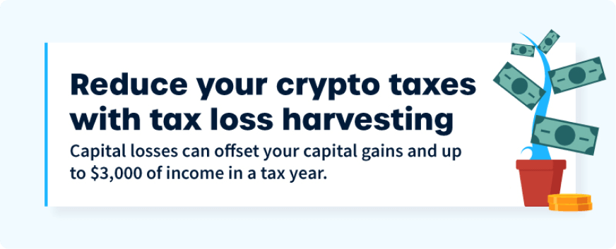 Crypto Taxes: The Complete Guide (2023)