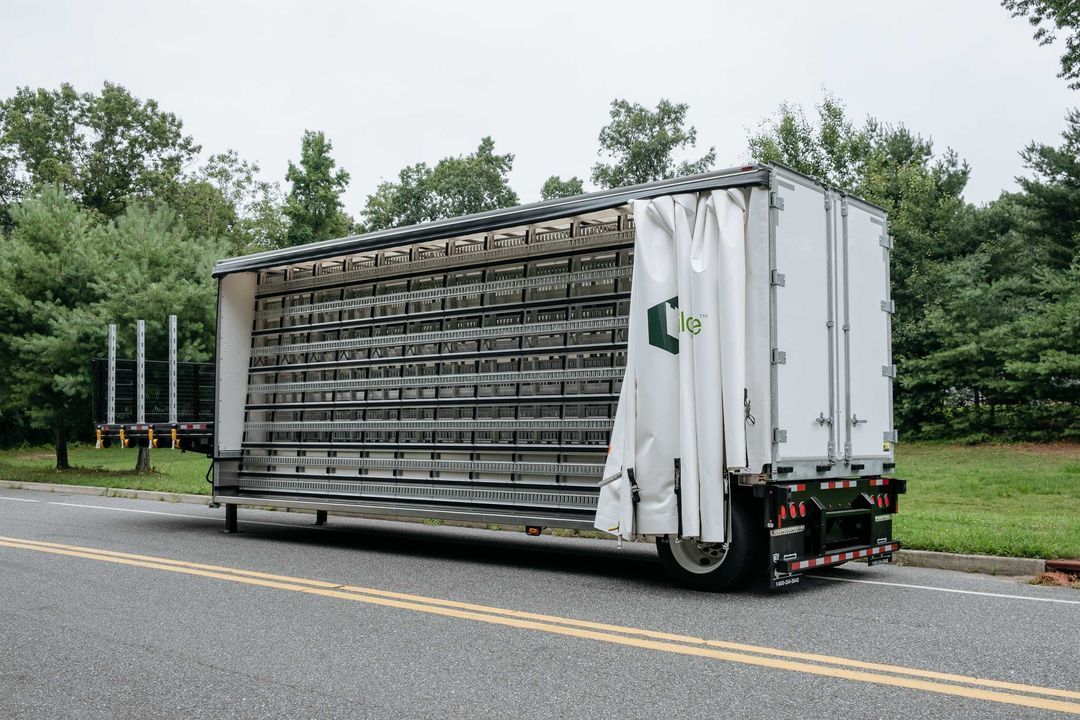 Glass Truck Bodies