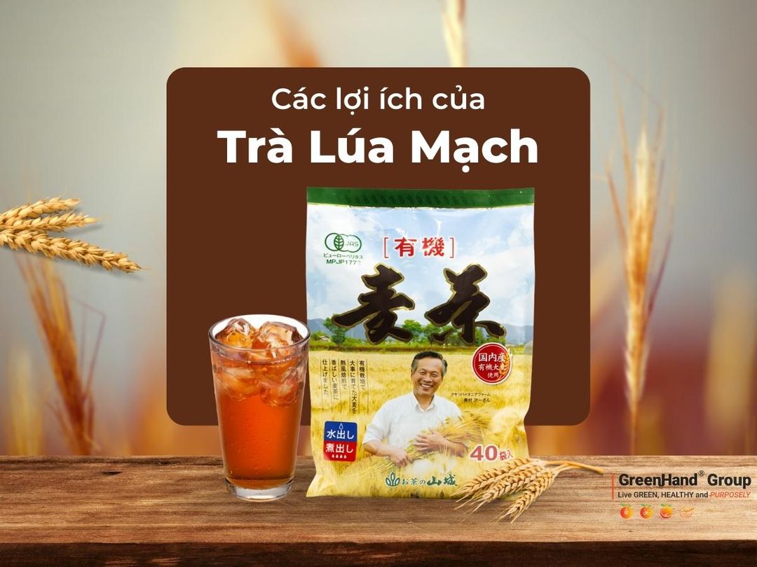 8 Lợi Ích Sức Khỏe Từ Trà Lúa Mạch Có Thể Bạn Chưa Biết!!! | GreenHand ...