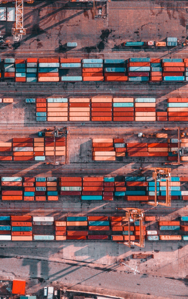 Norvik Cargo Internation Freight Forwarder